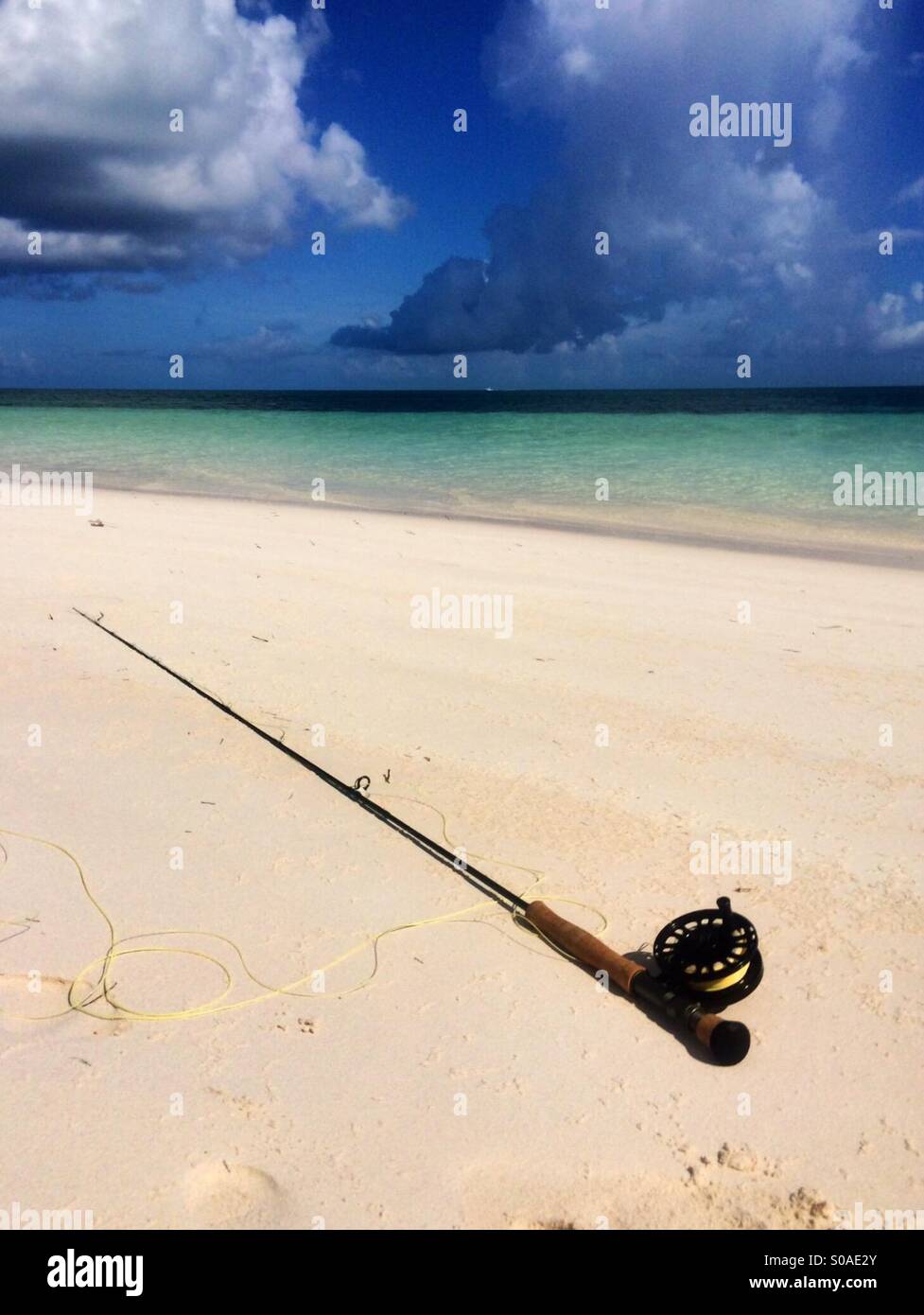 Fly fishing bahamas hi-res stock photography and images - Alamy