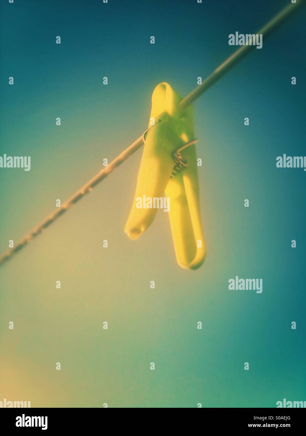 Yellow Peg Stock Photos & Yellow Peg Stock Images - Alamy