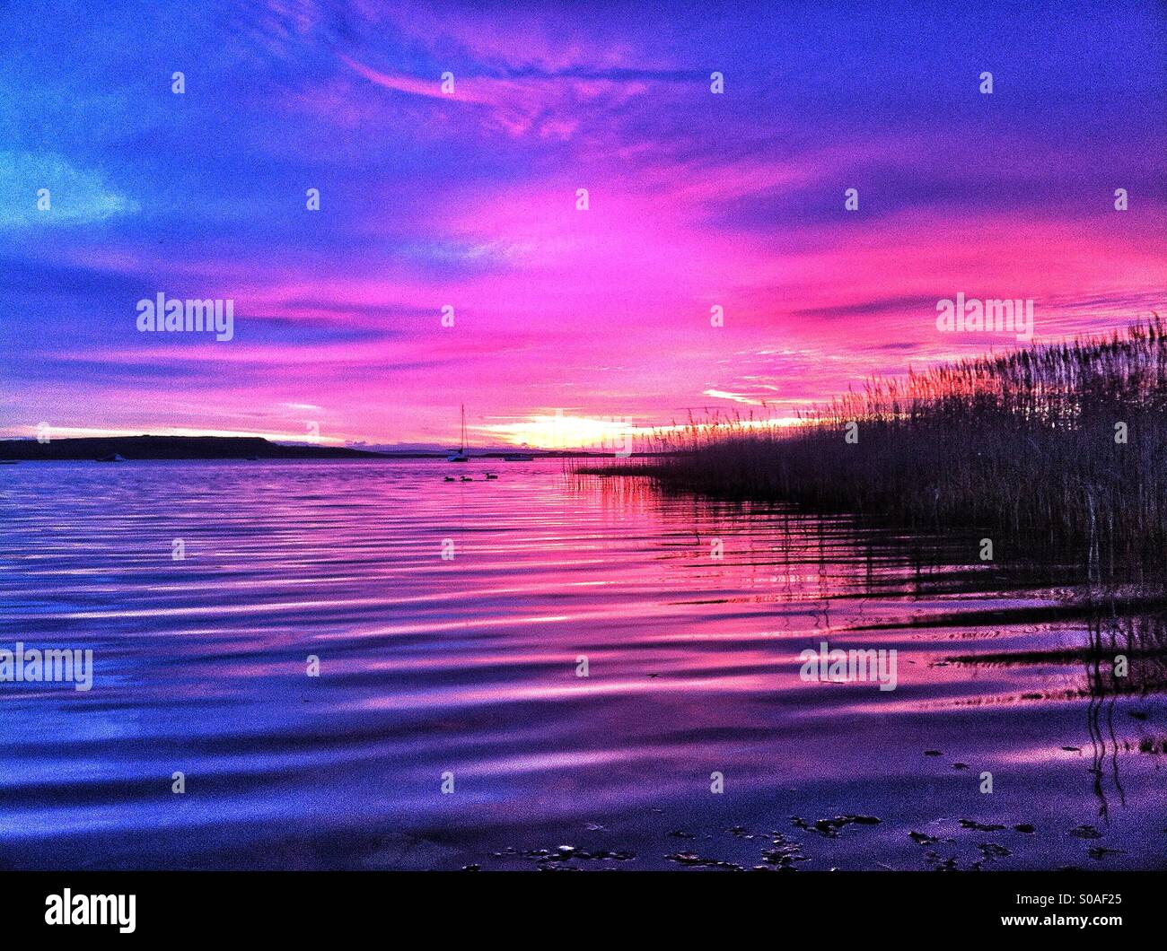 Pink sunset reflections Stock Photo - Alamy