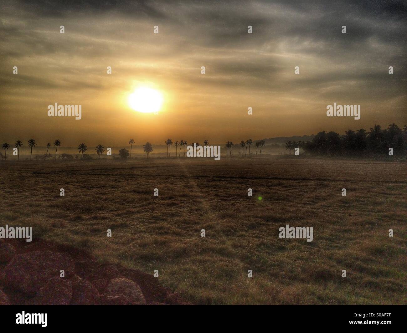 Motorcycle Sunrise in Goa Stock Photo - Alamy