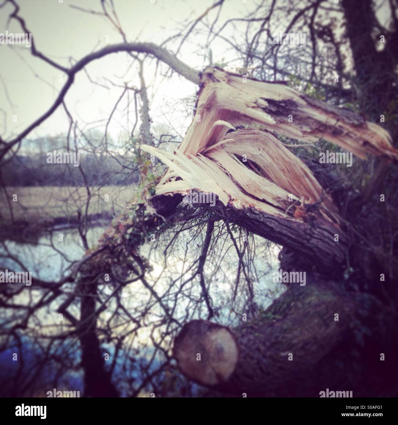 Riverside branch hi-res stock photography and images - Alamy