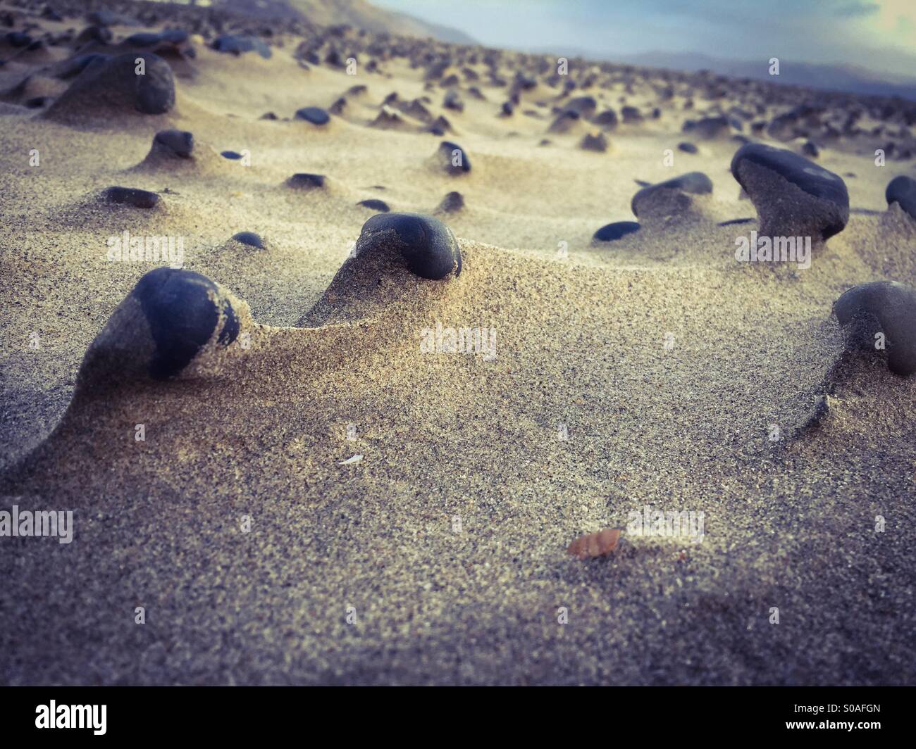 Amongst sand dunes hi-res stock photography and images - Alamy