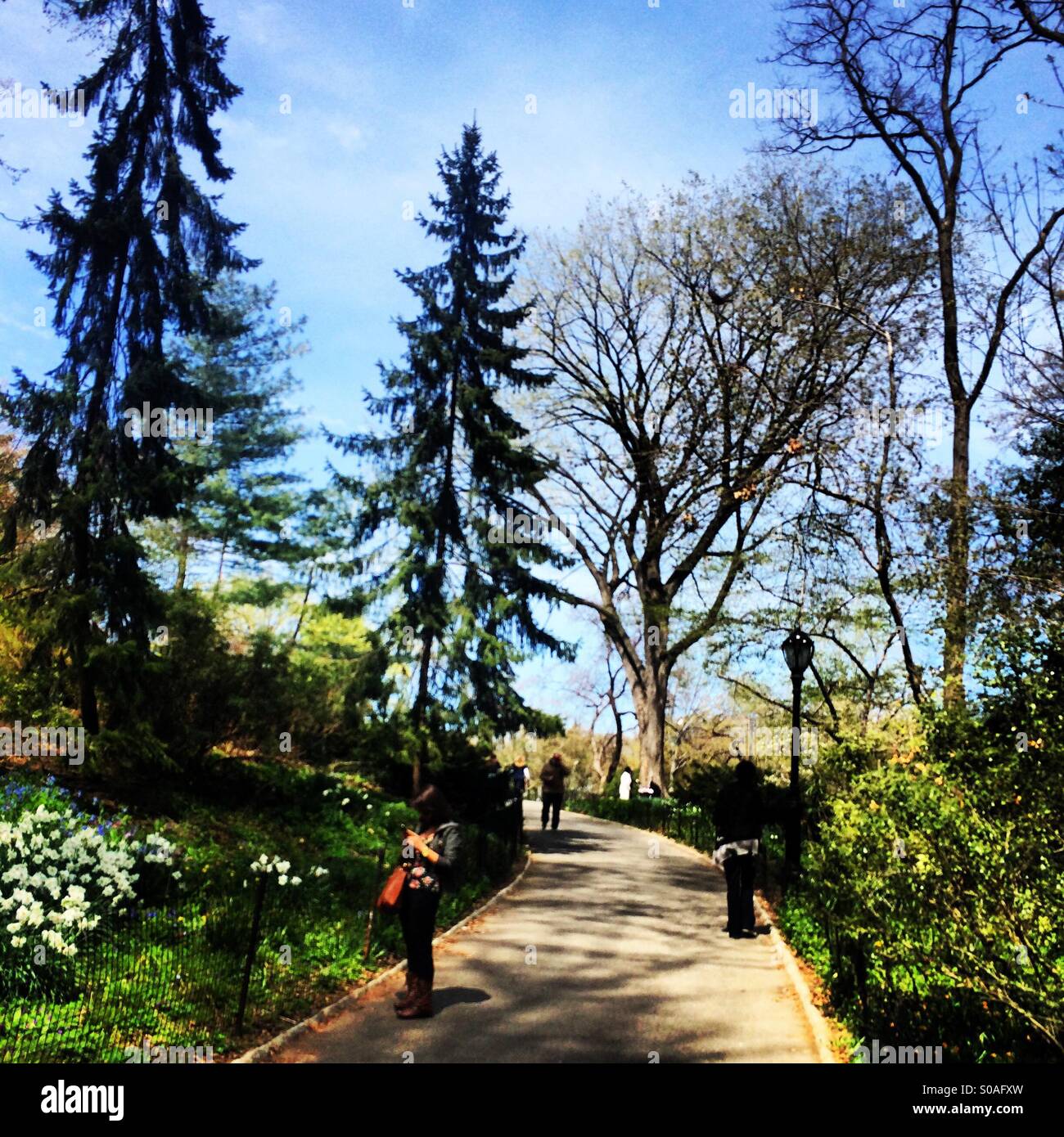 Spring stroll hi-res stock photography and images - Alamy