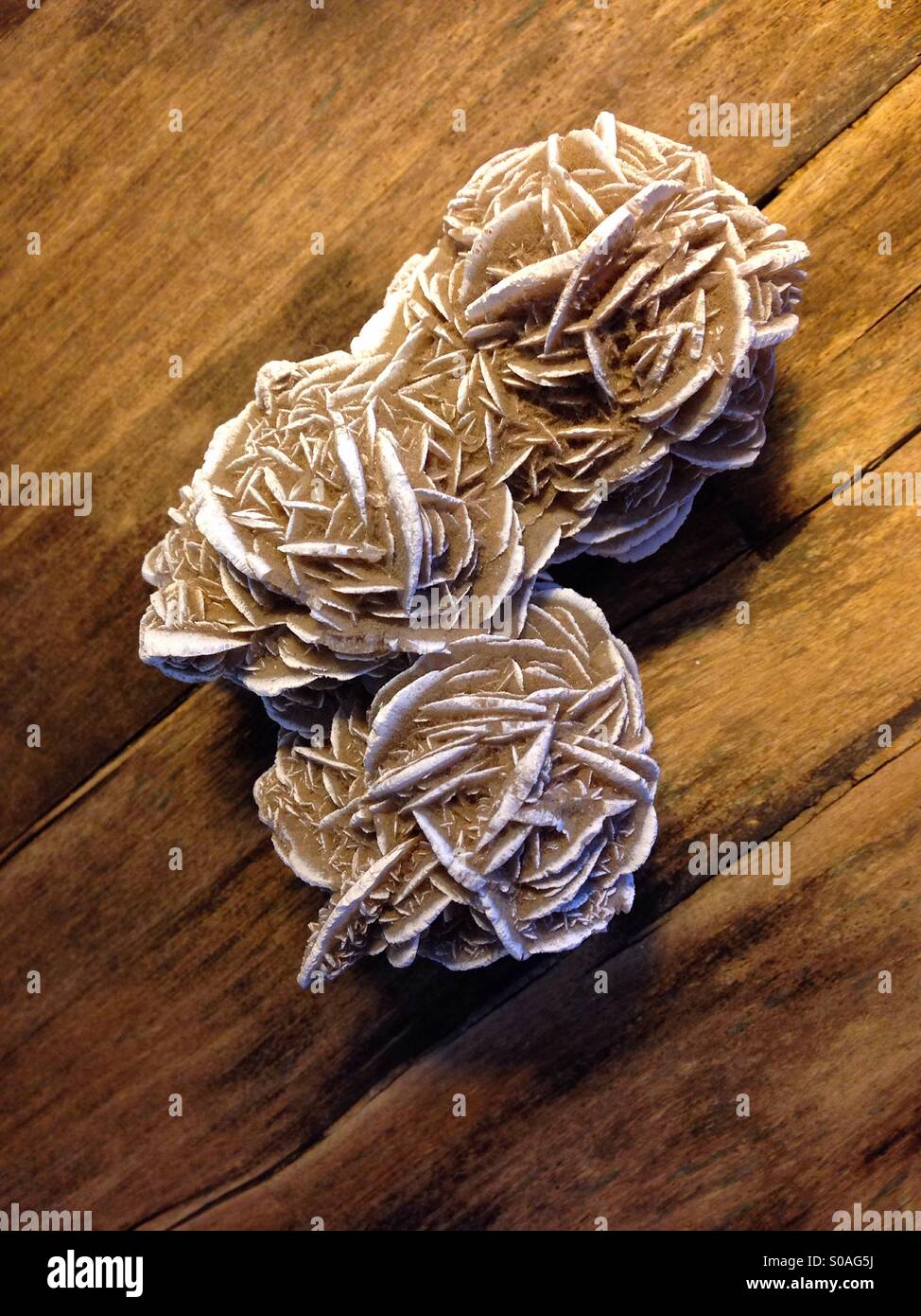 Natural specimen hi-res stock photography and images - Alamy