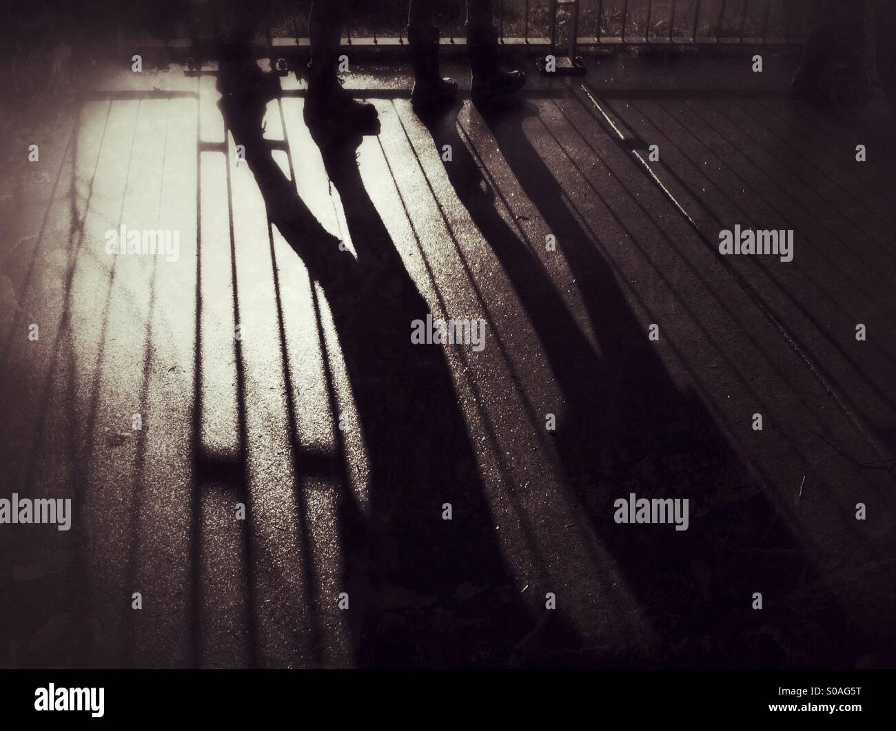 Late evening shadows on wet pavement Stock Photo - Alamy