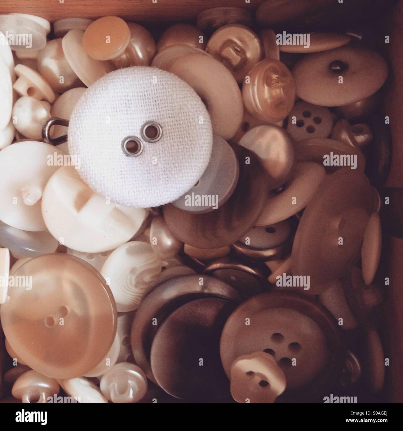 Pearl Buttons High Resolution Stock Photography and Images - Alamy