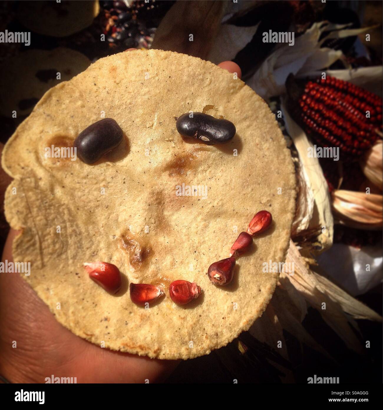 Kidney bank hi-res stock photography and images - Alamy