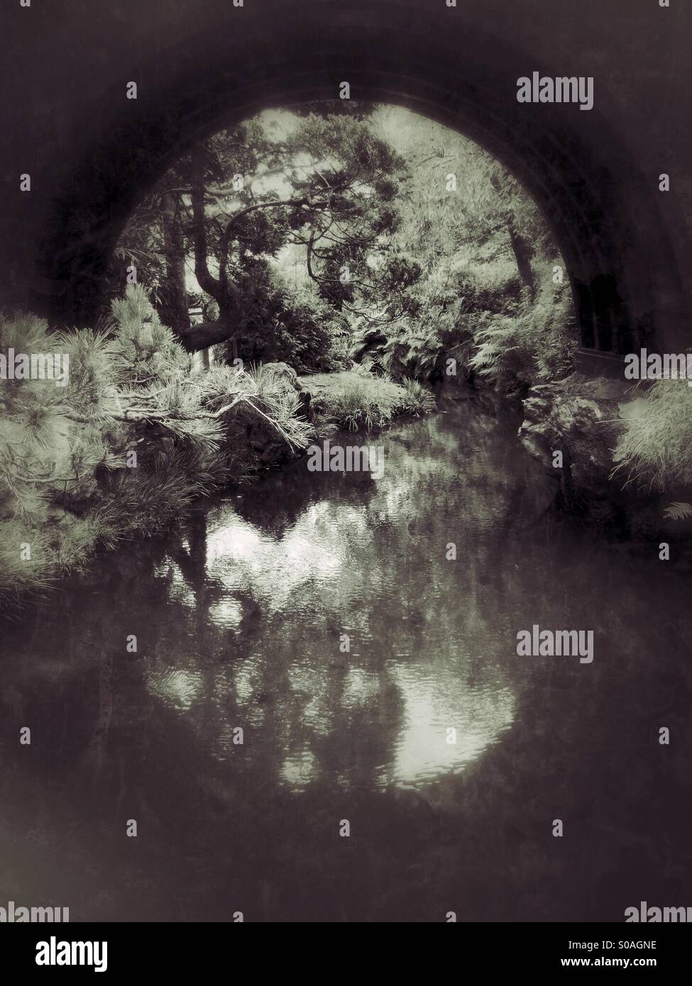 Arch of plants hi-res stock photography and images - Alamy