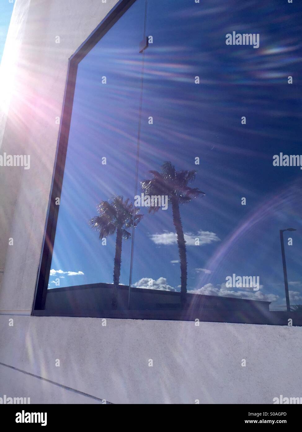 Reflections of buildings in a window hi-res stock photography and ...