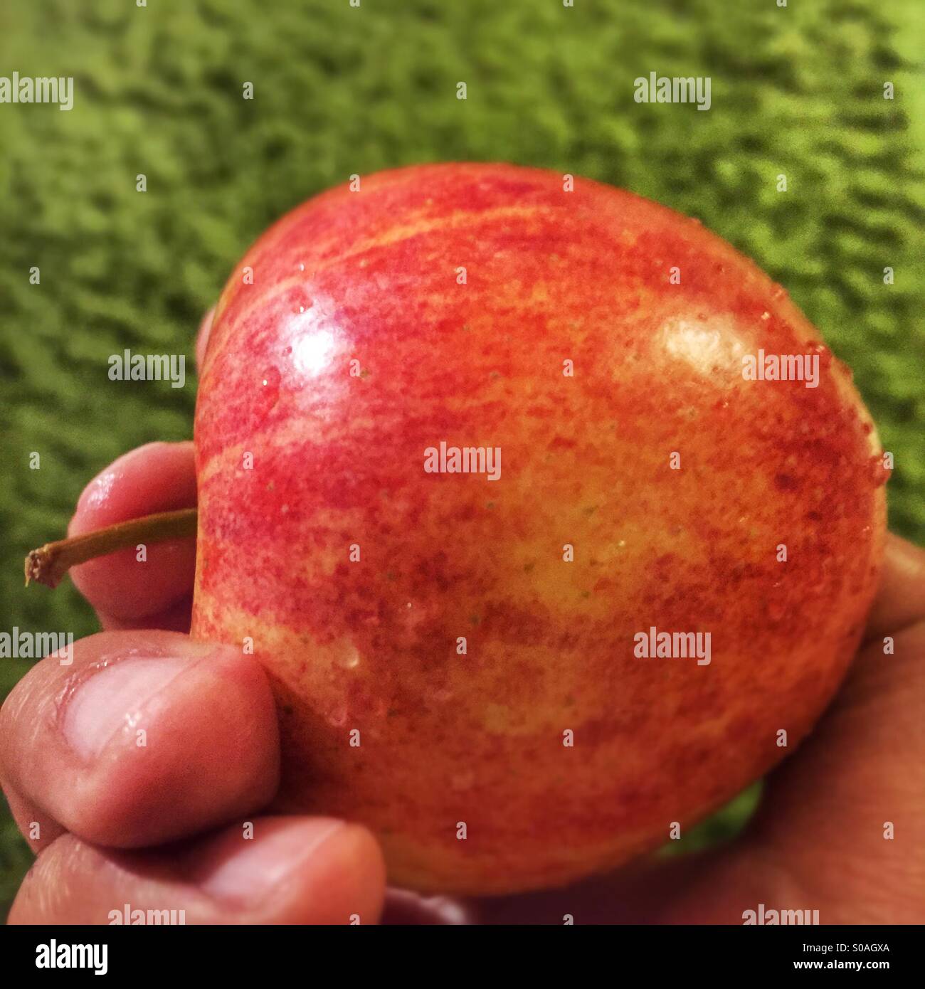 Hand snack hi-res stock photography and images - Alamy