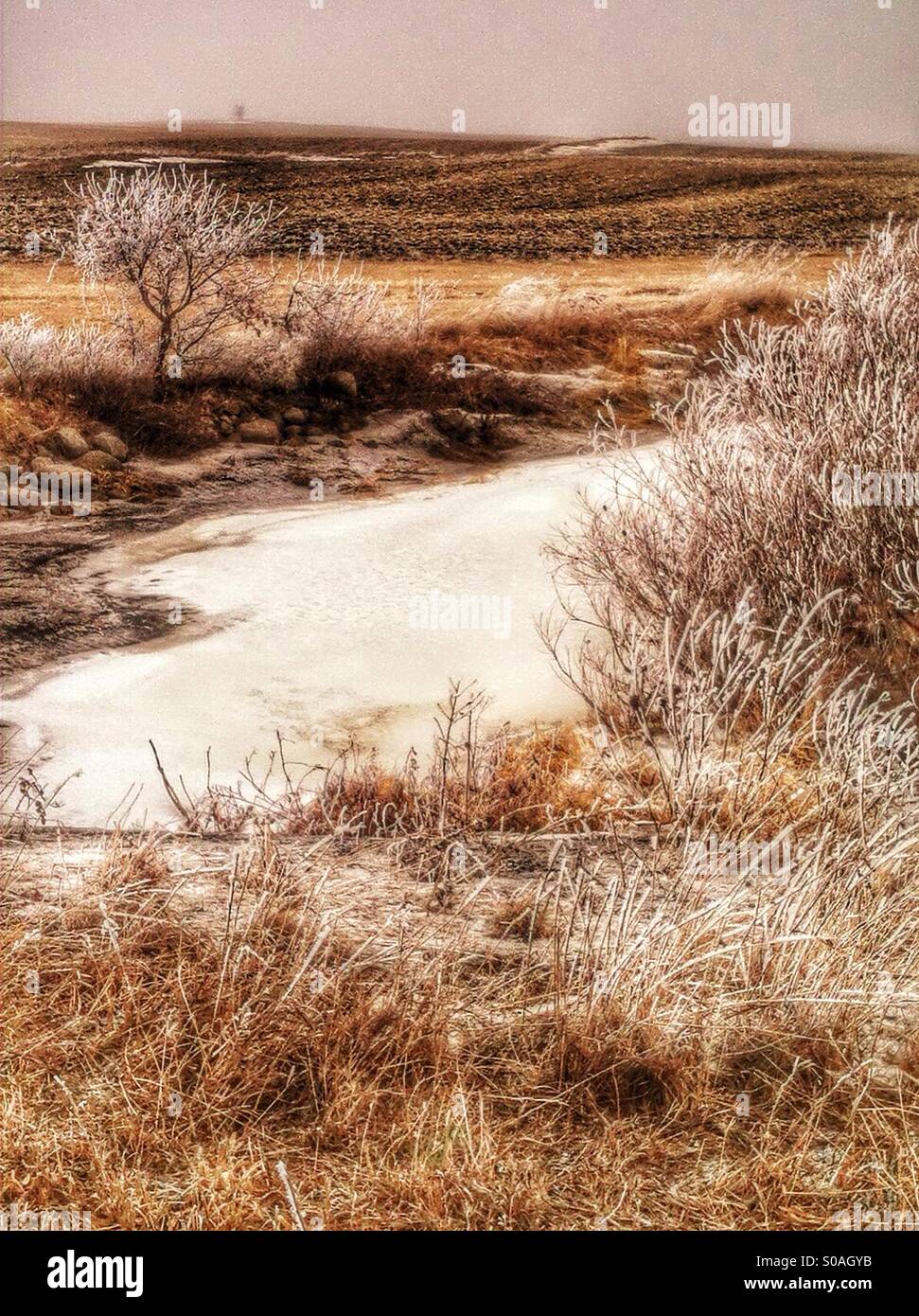 A frozen landscape in southern Minnesota. USA Stock Photo - Alamy