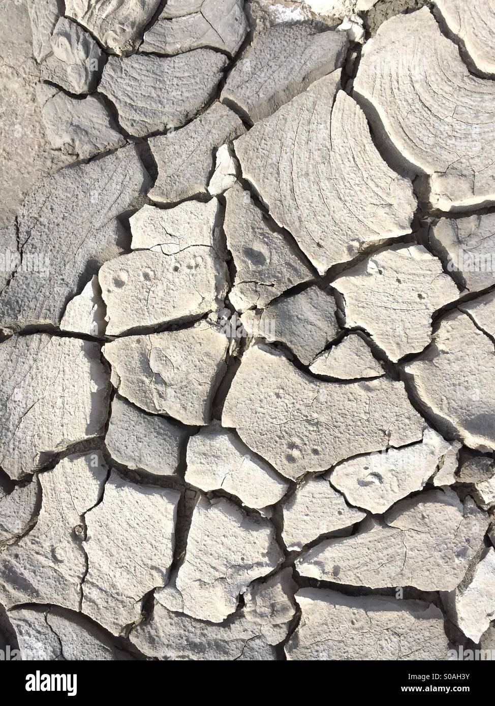 Hardened mud hi-res stock photography and images - Alamy