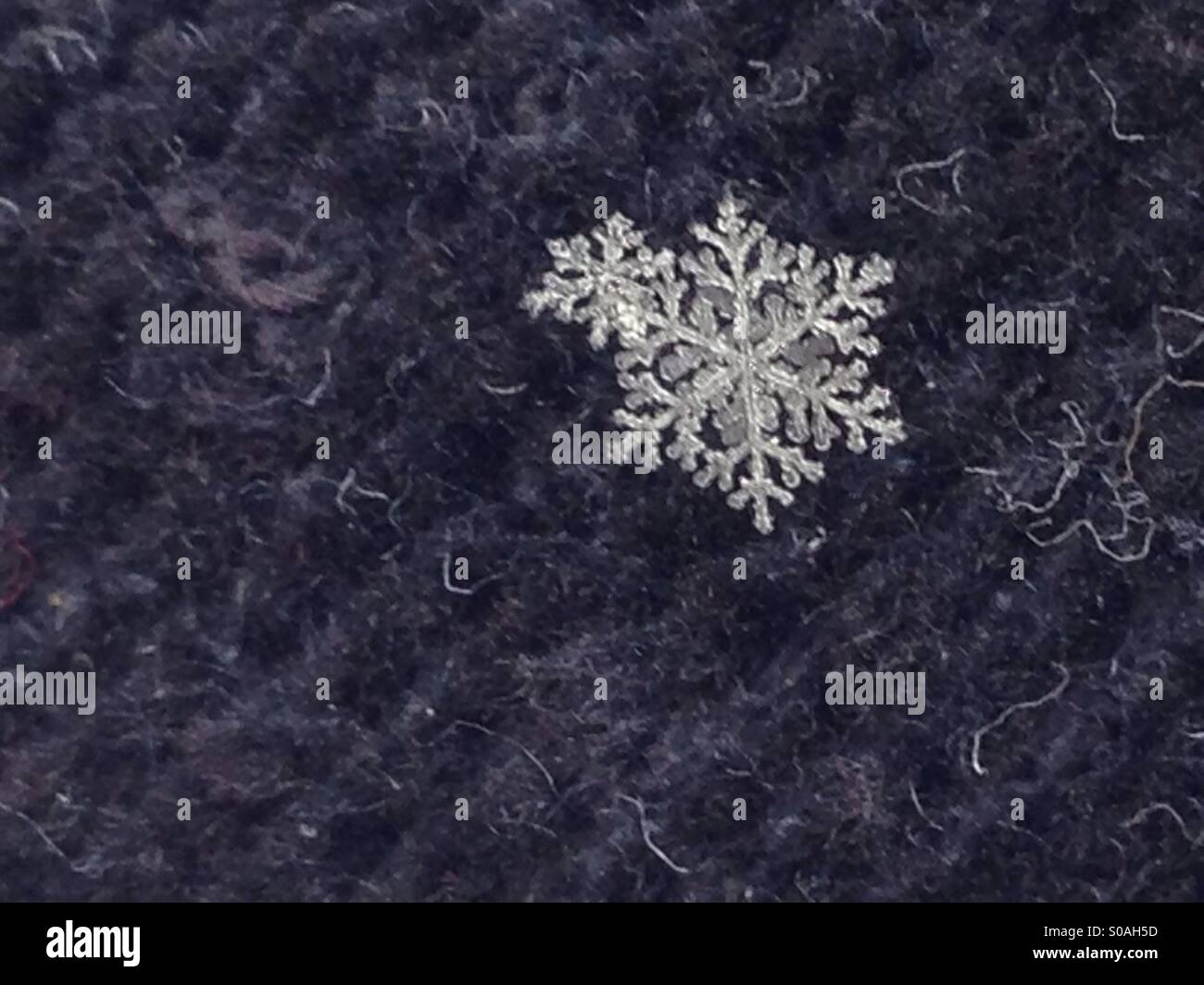 A captured snowflake Stock Photo - Alamy