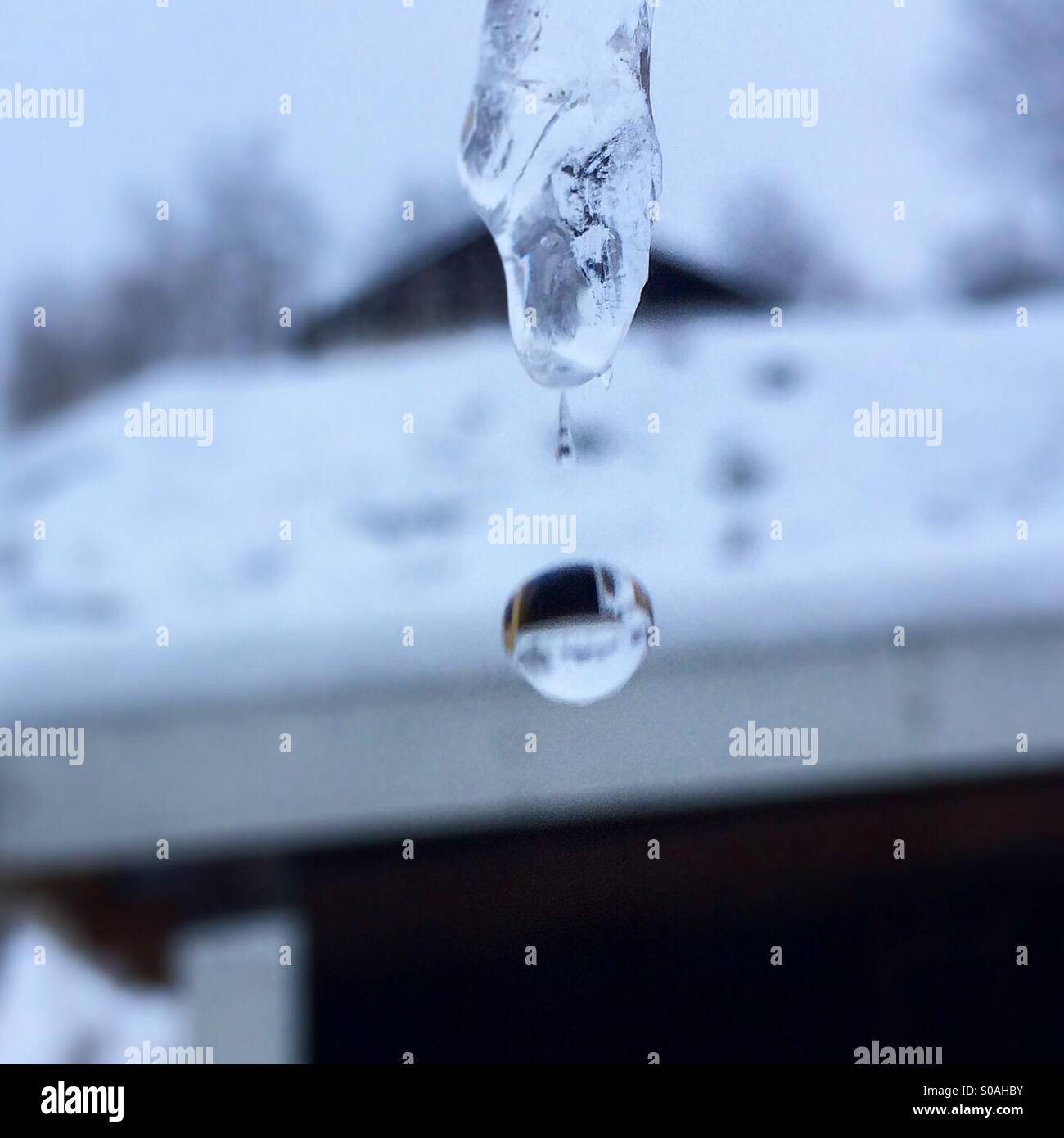 Drip drop, melting ice into water Stock Photo - Alamy