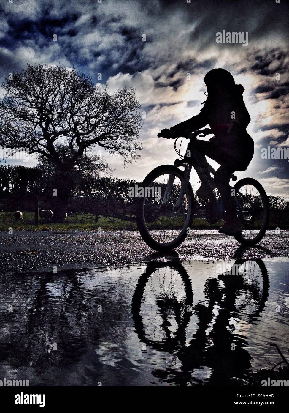 Girl bike silhouette hi-res stock photography and images - Alamy