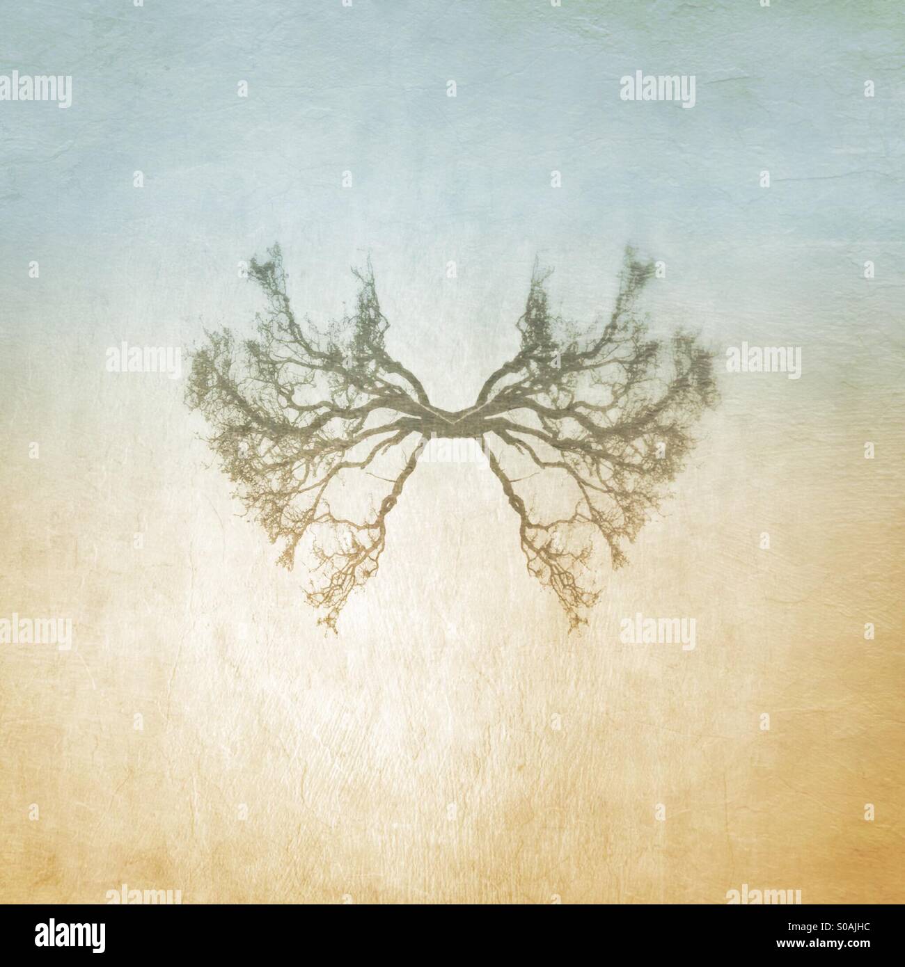 tree art lungs Stock Photo - Alamy