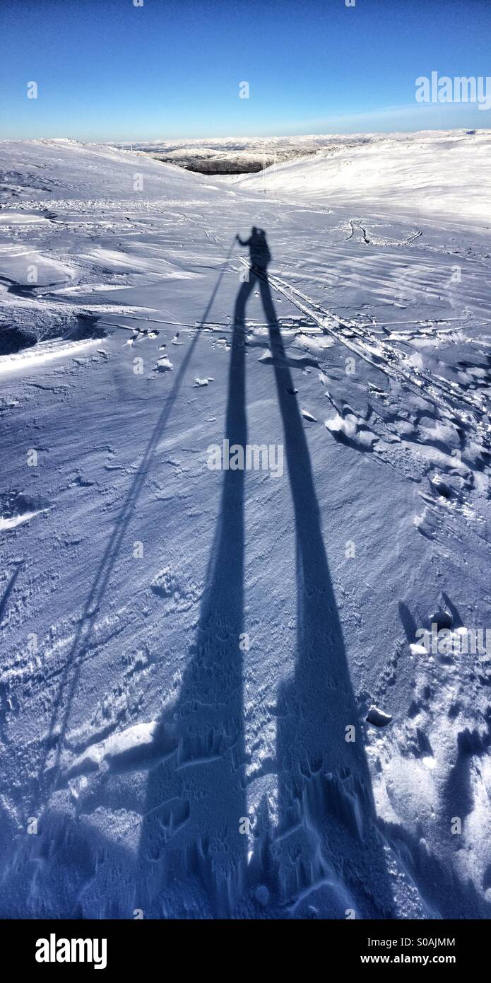 Ski poles nordic hi-res stock photography and images - Alamy