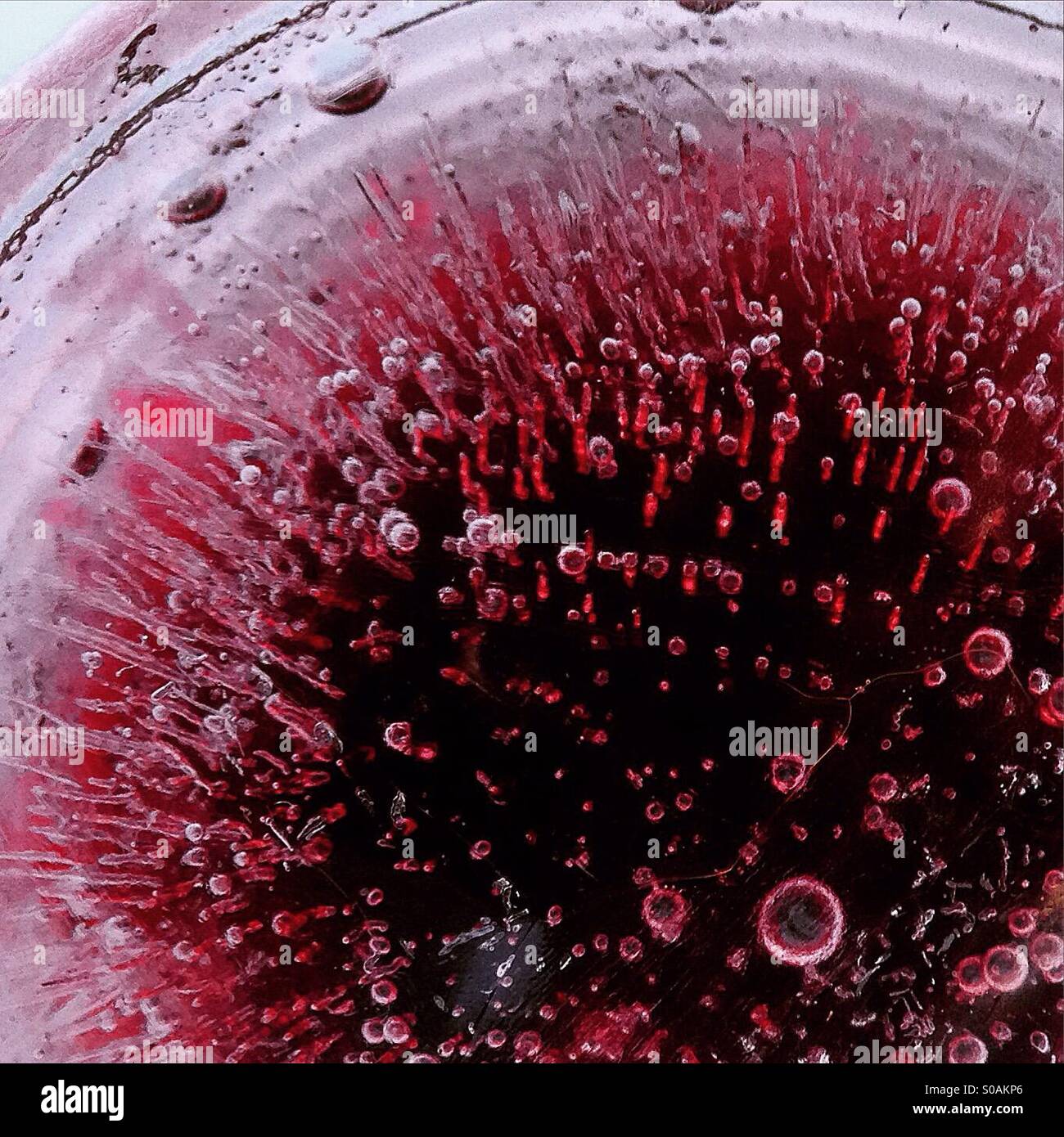 Ice water experiment hi-res stock photography and images - Alamy