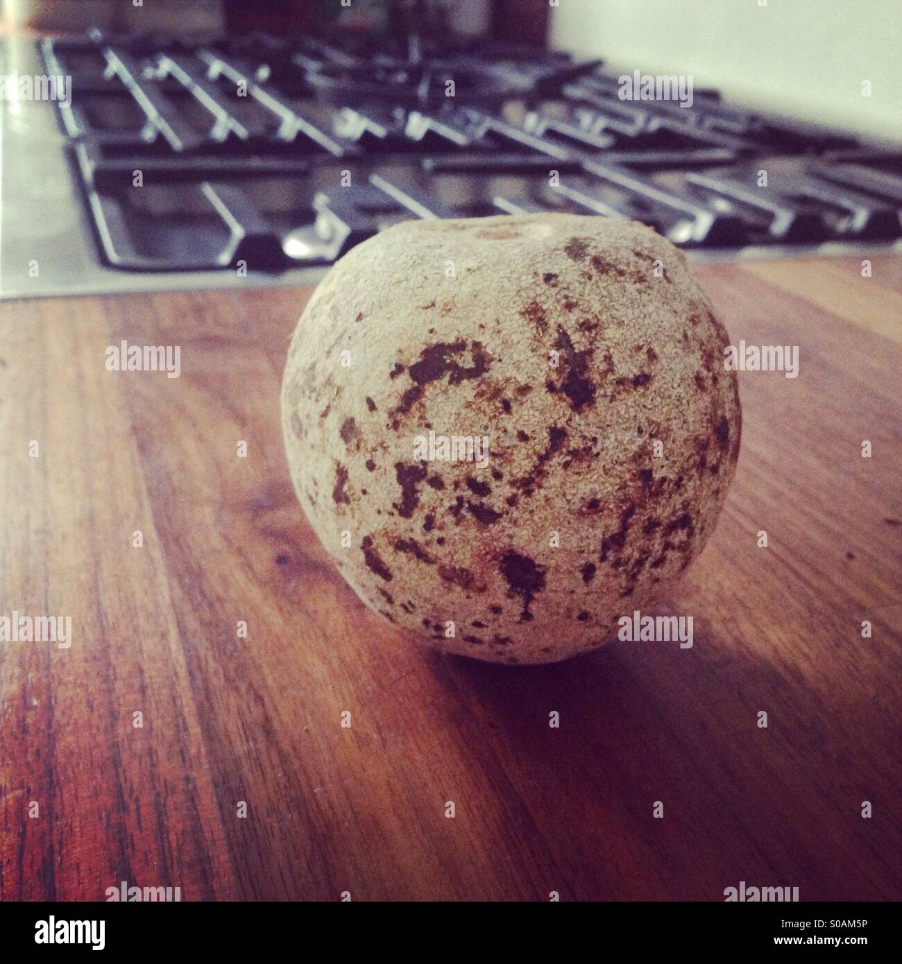 Woodapple hi-res stock photography and images - Alamy
