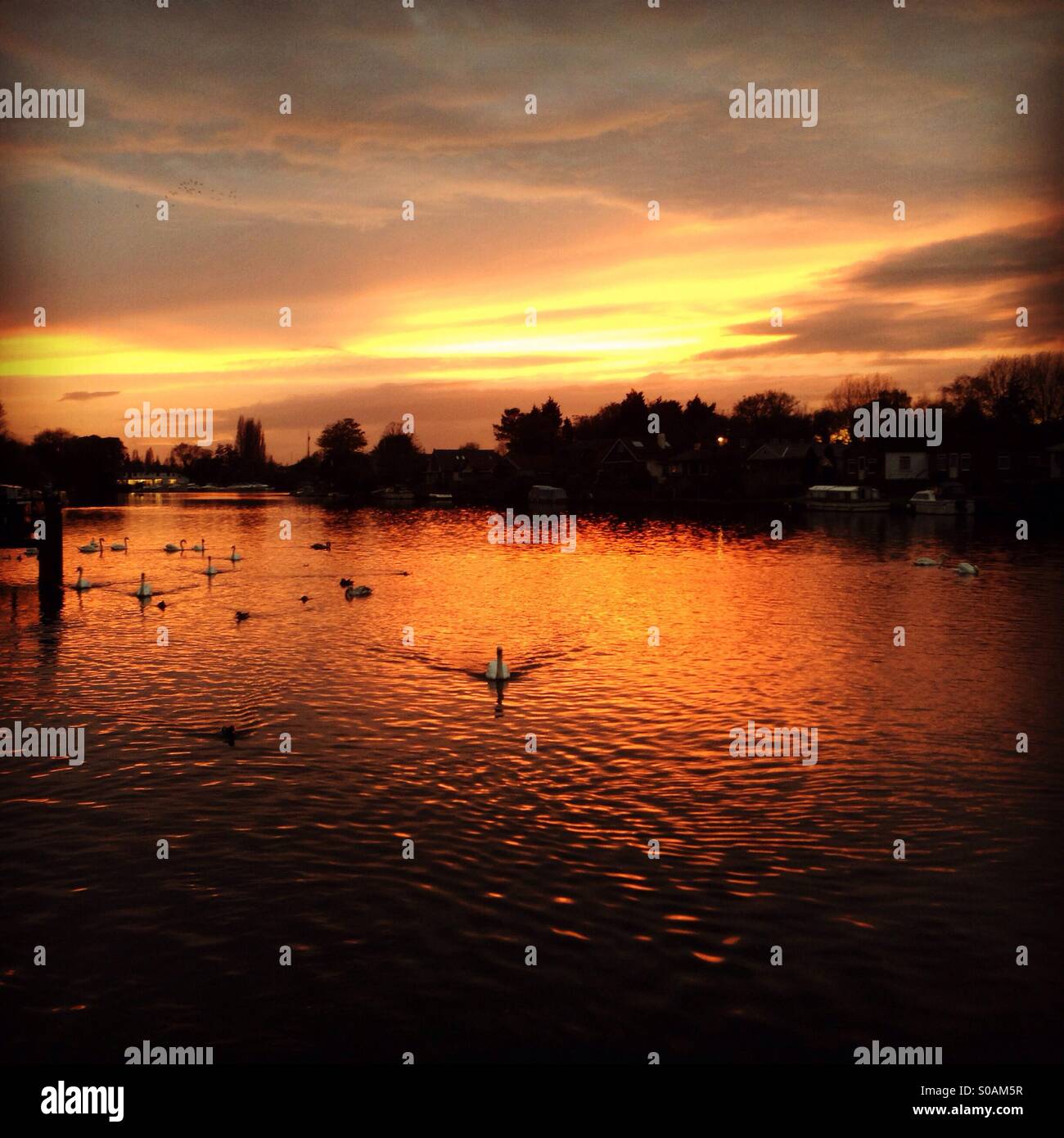 Firewater hi-res stock photography and images - Alamy