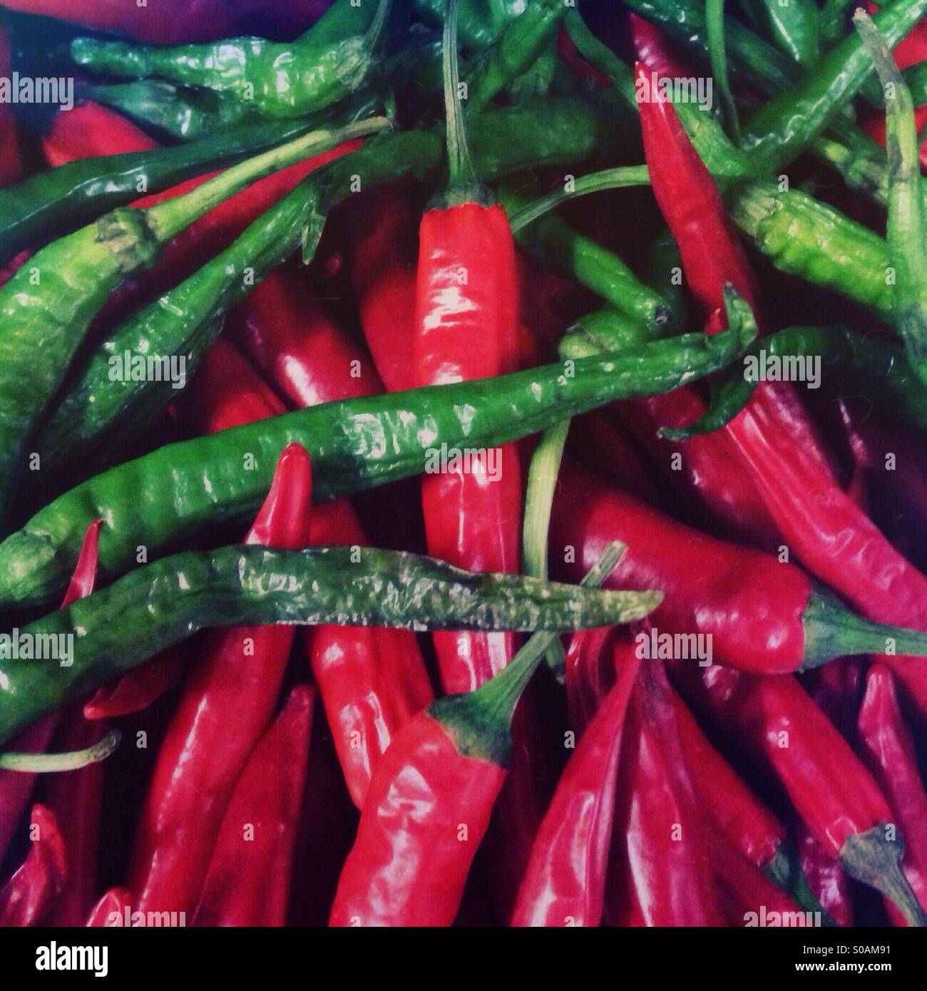 Red and green chilli hi-res stock photography and images - Alamy