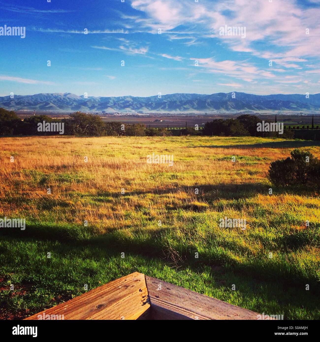 Grass deck hi-res stock photography and images - Alamy