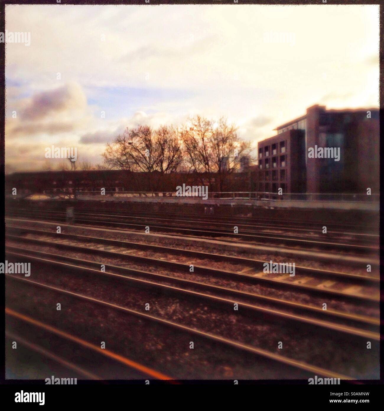 Trackside trees hi-res stock photography and images - Alamy