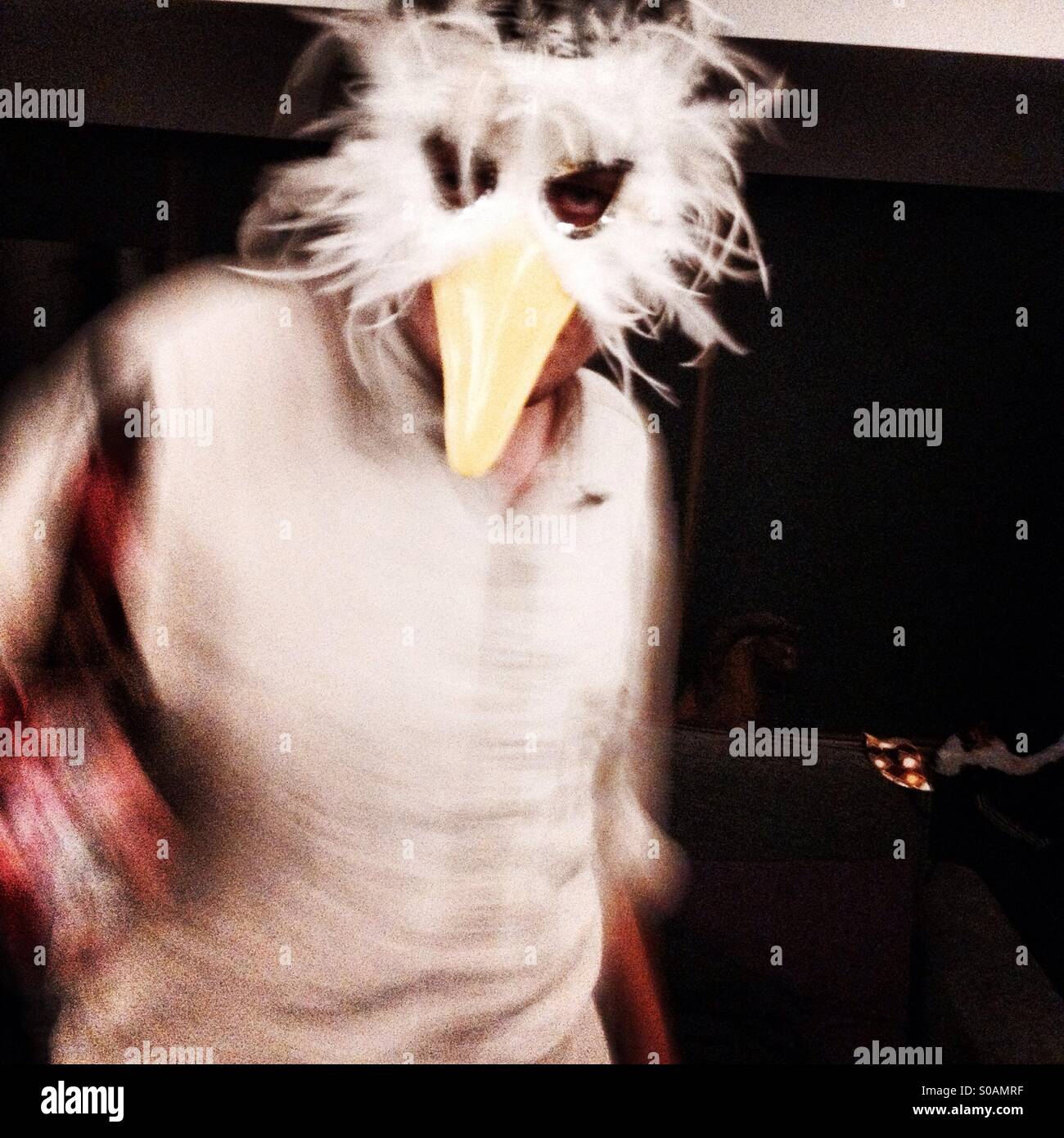 Scary Bird High Resolution Stock Photography and Images - Alamy
