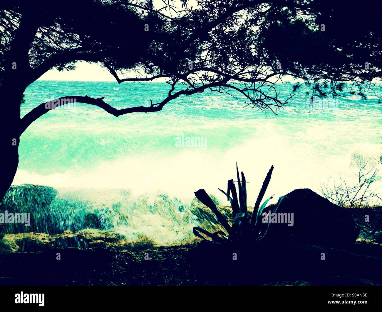 Smashing hi-res stock photography and images - Alamy