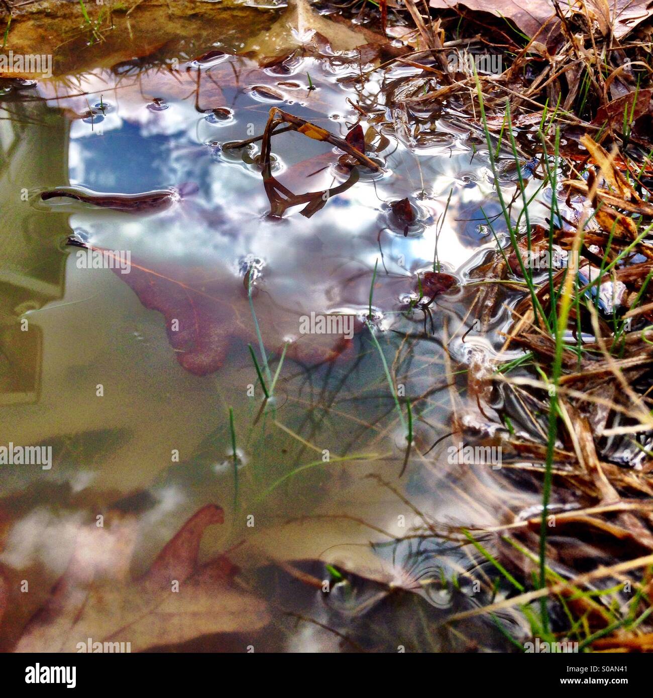 Puddle puddles water hi-res stock photography and images - Alamy