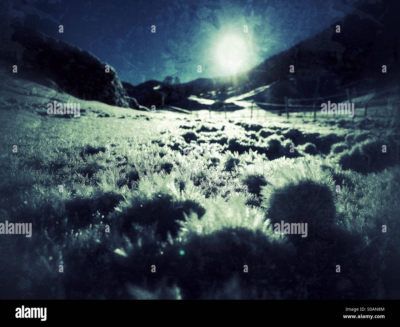 Contrast sun shade hi-res stock photography and images - Alamy