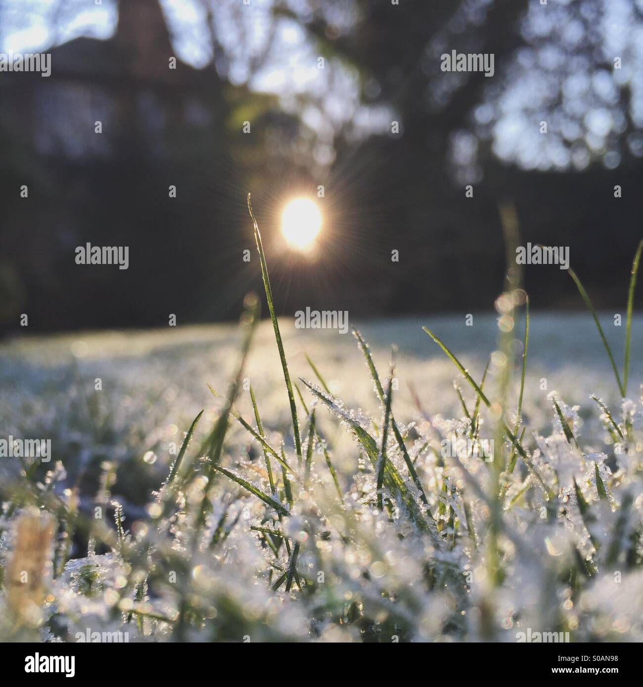 Frosty morning garden hi-res stock photography and images - Alamy