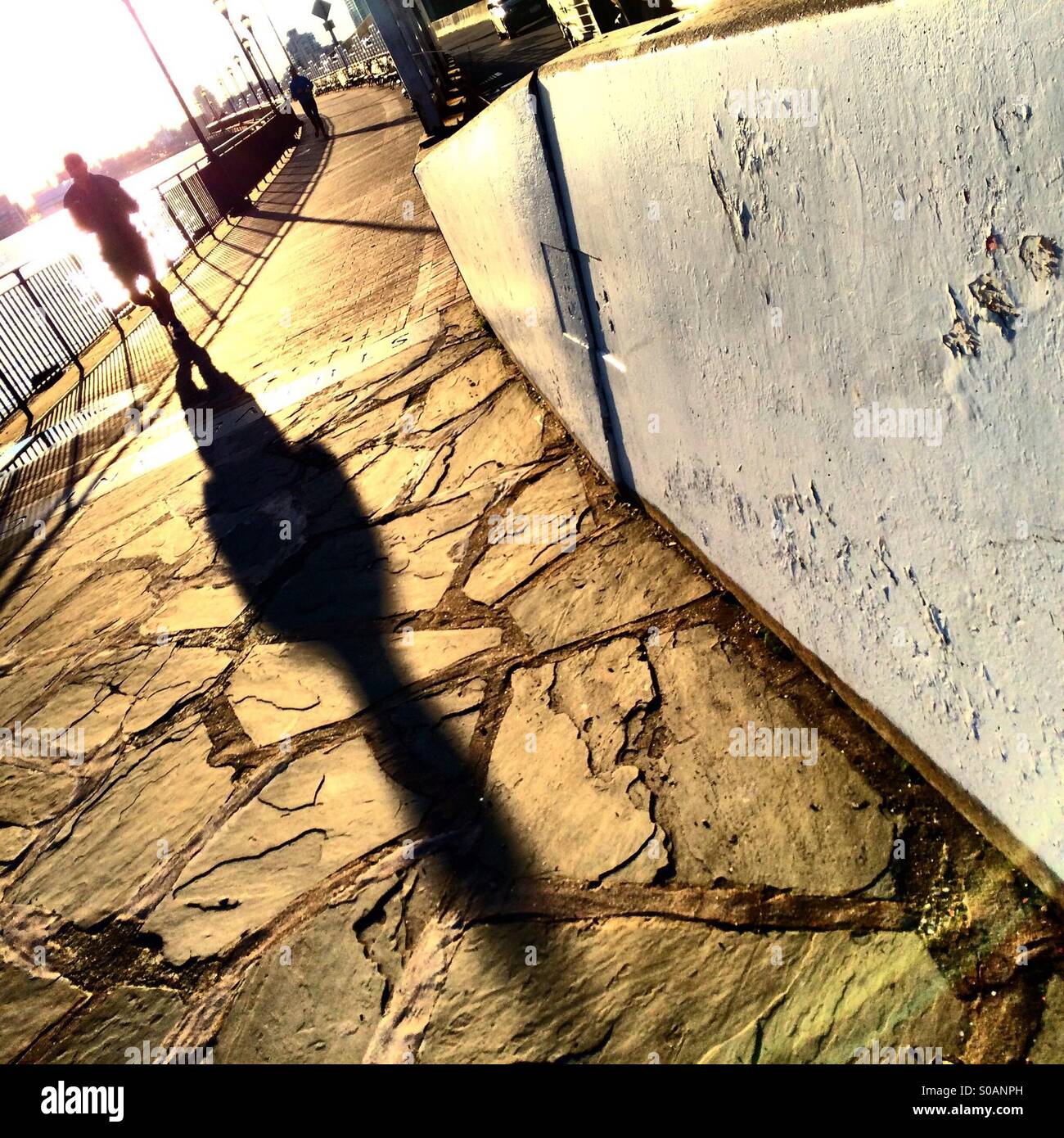 Man and shadow running on East River path, New York City Stock Photo ...