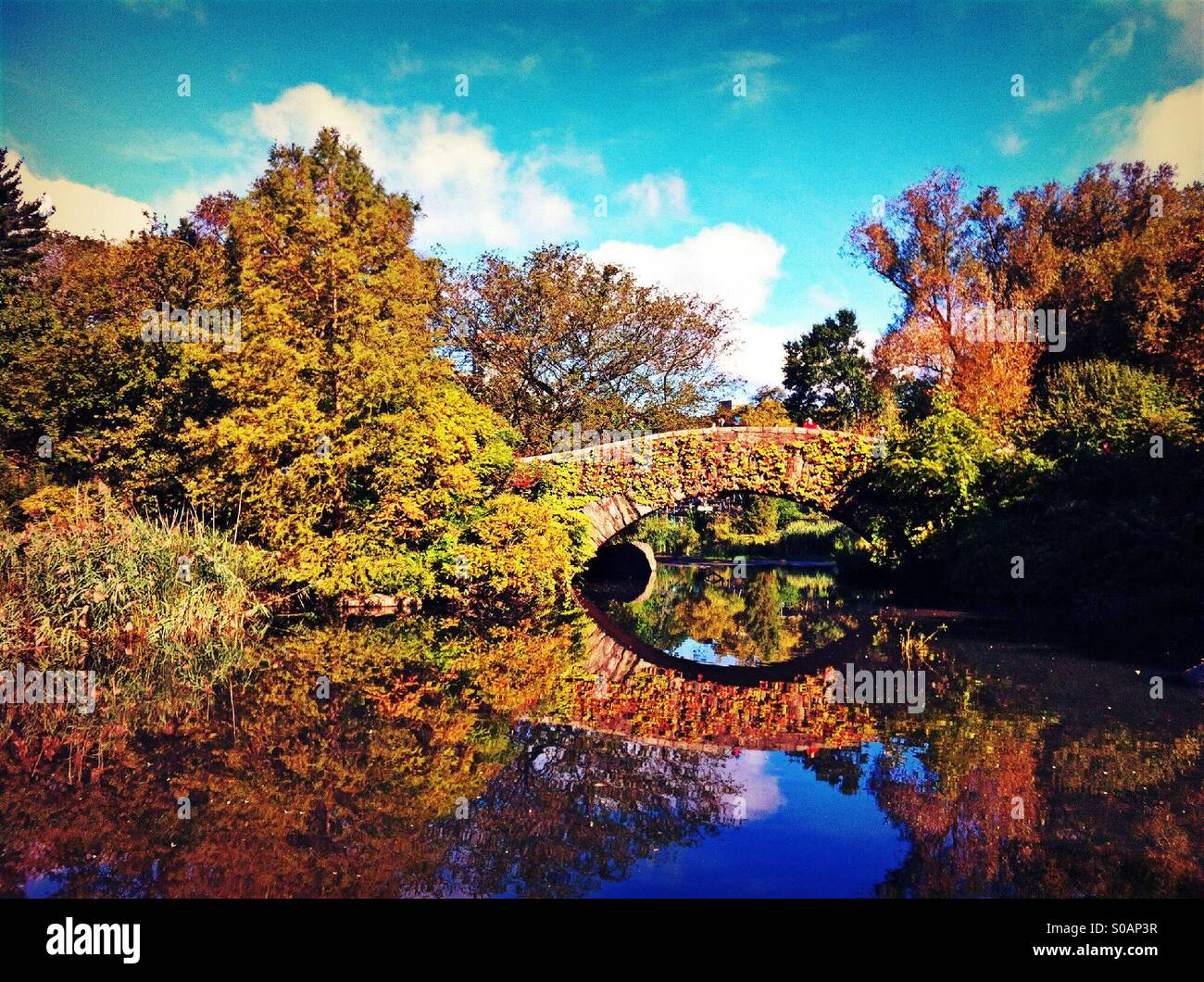 Central Park at fall Stock Photo - Alamy