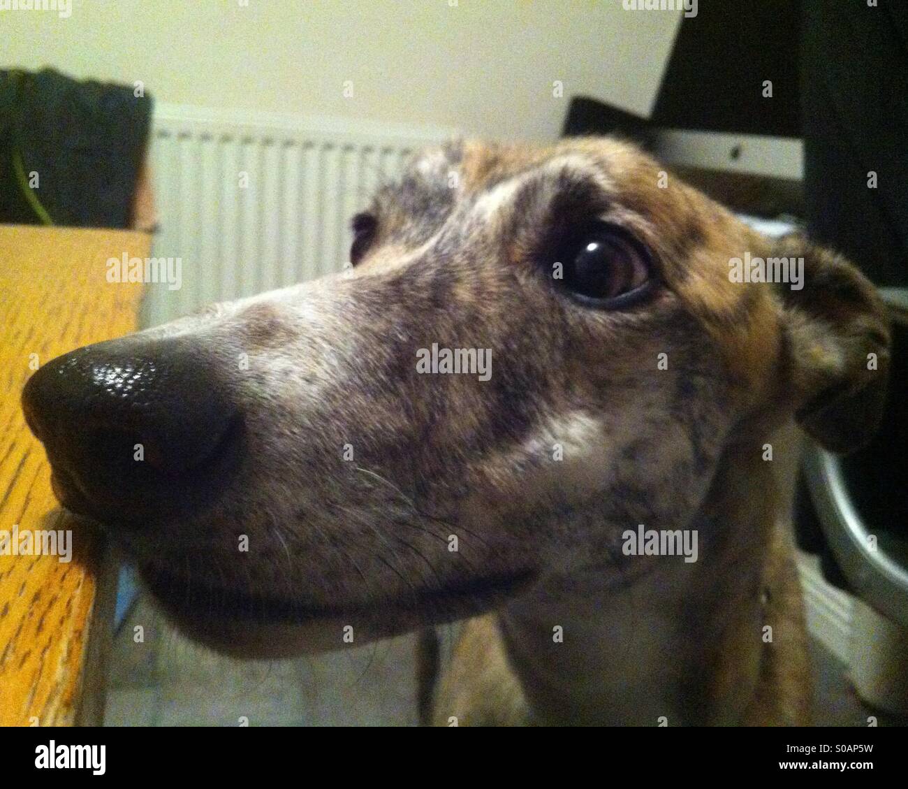 Attention sad hi-res stock photography and images - Alamy