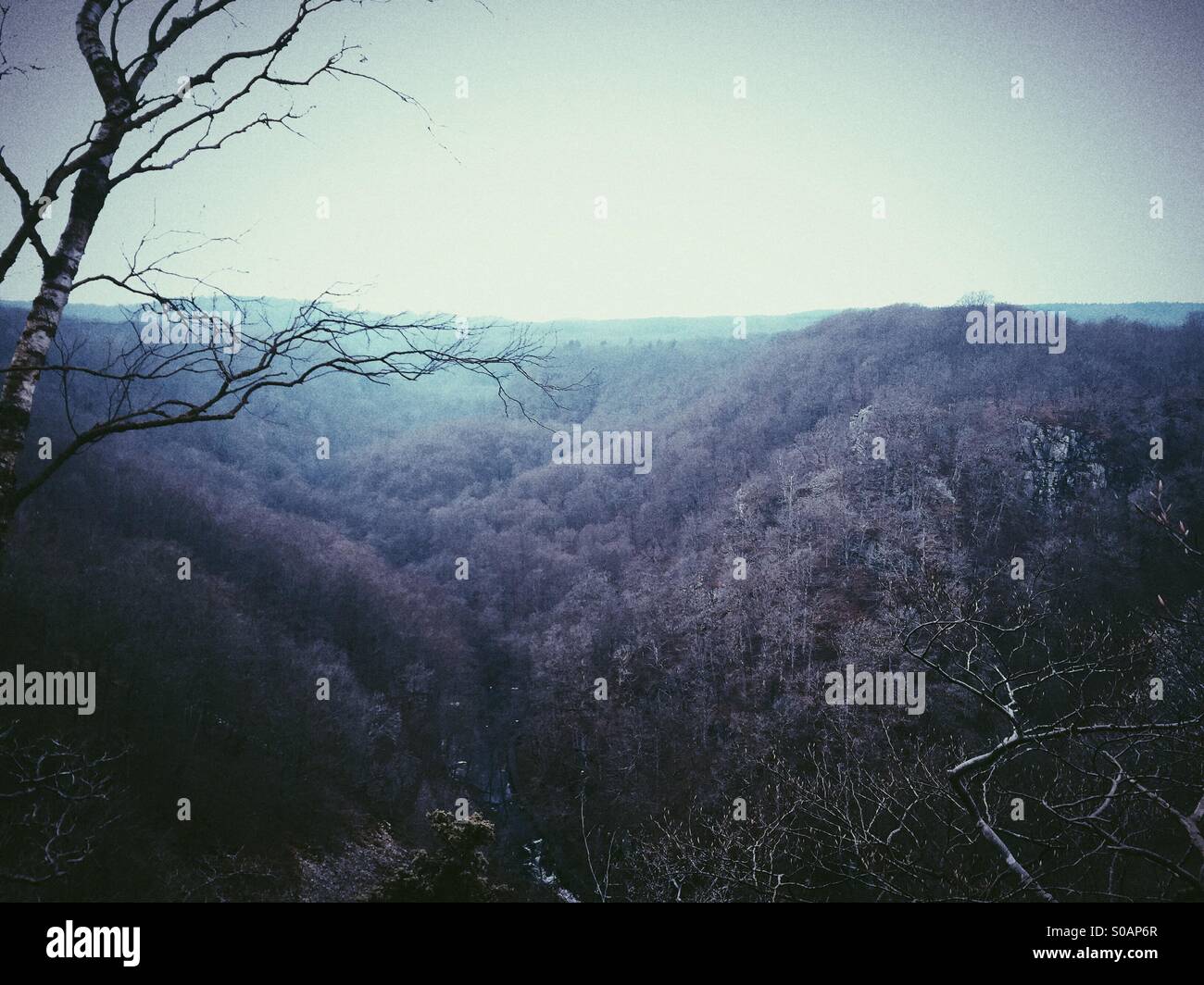 Swedish wilderness hi-res stock photography and images - Alamy
