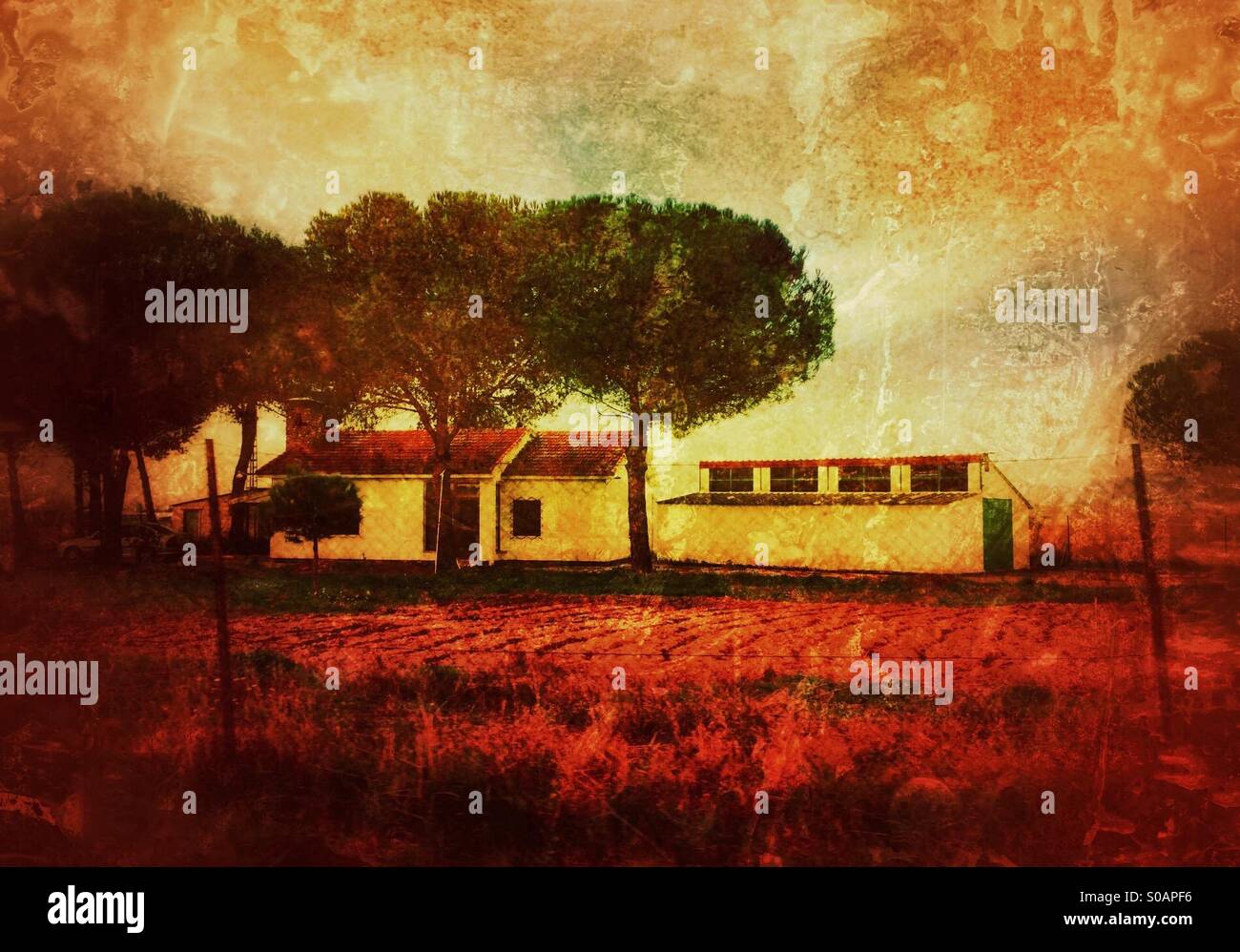 The Old Ranch Stock Photo - Alamy