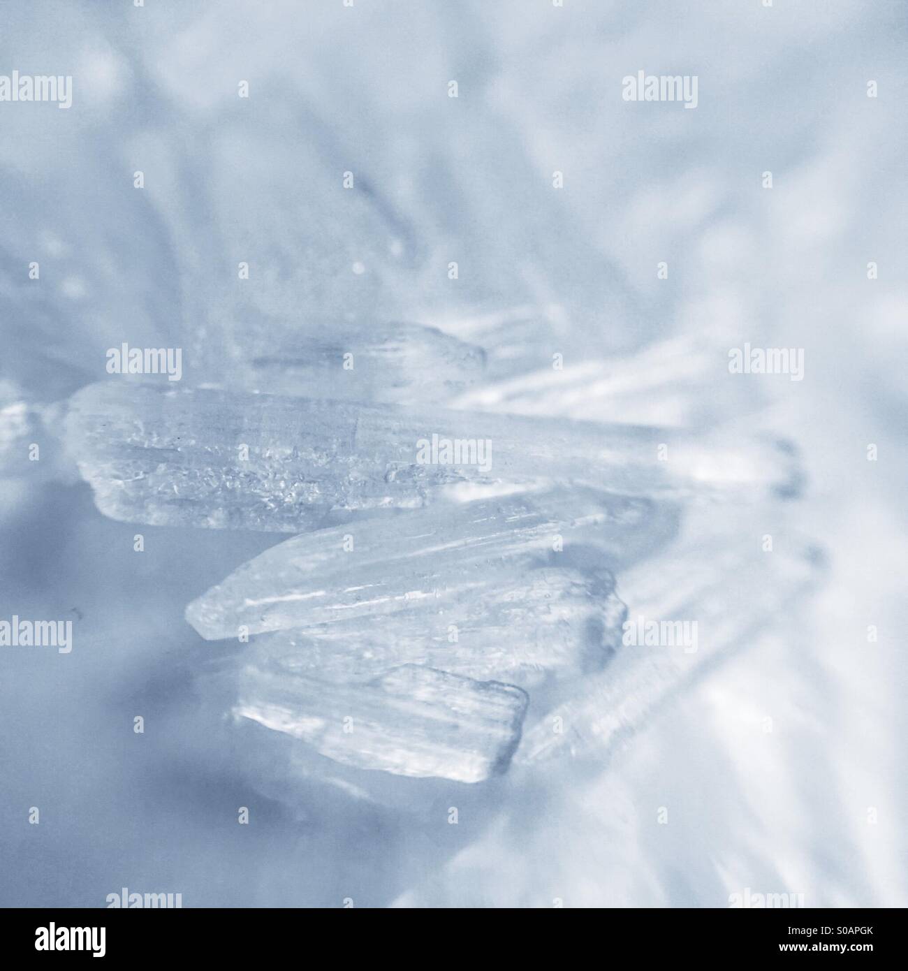Crystal meth hi-res stock photography and images - Alamy
