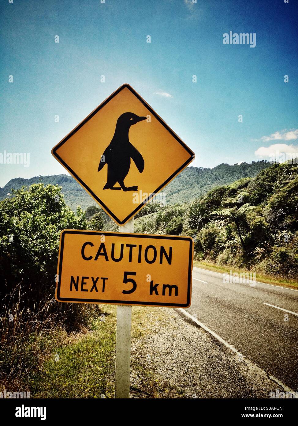 Caution sign for penguins hi-res stock photography and images - Alamy