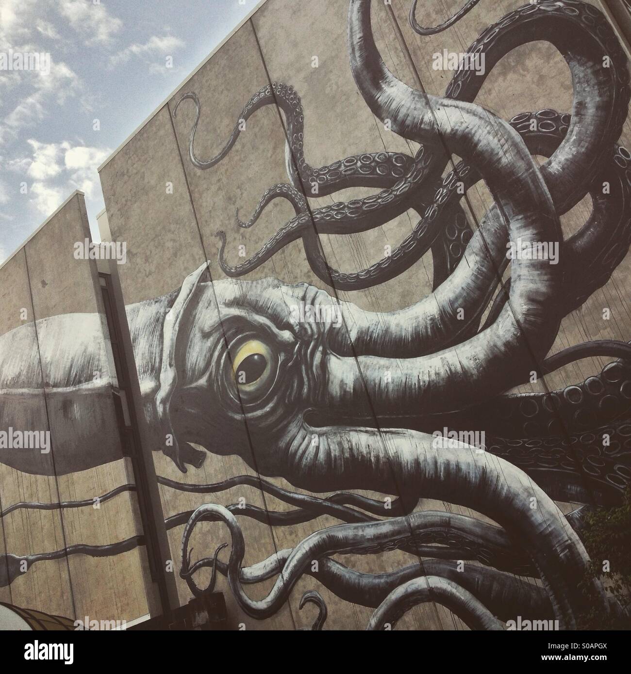 Angry street art hi-res stock photography and images - Alamy