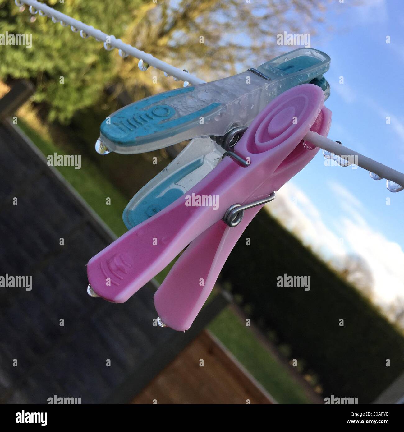 Frozen,clothes pegs on frozen washing line Stock Photo - Alamy