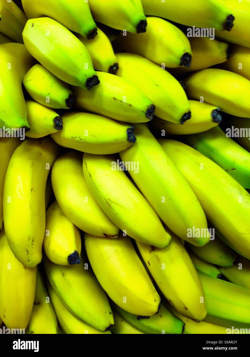 Big bunch of ripe bananas Stock Photo - Alamy