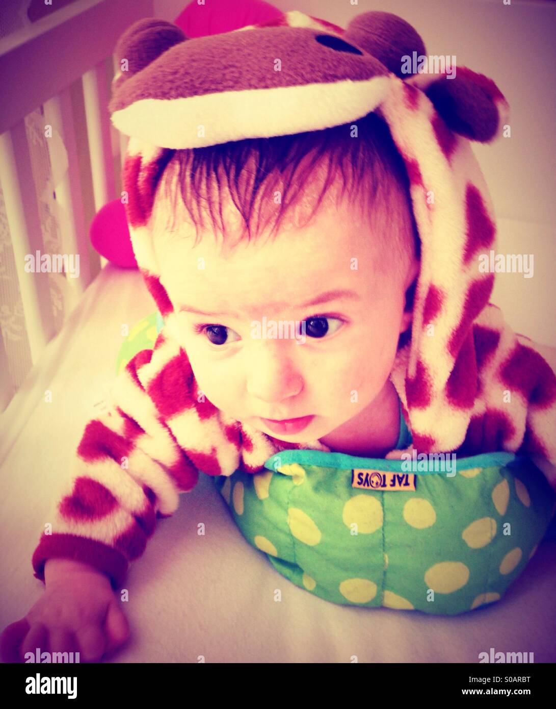 Baby with animal swit Stock Photo - Alamy