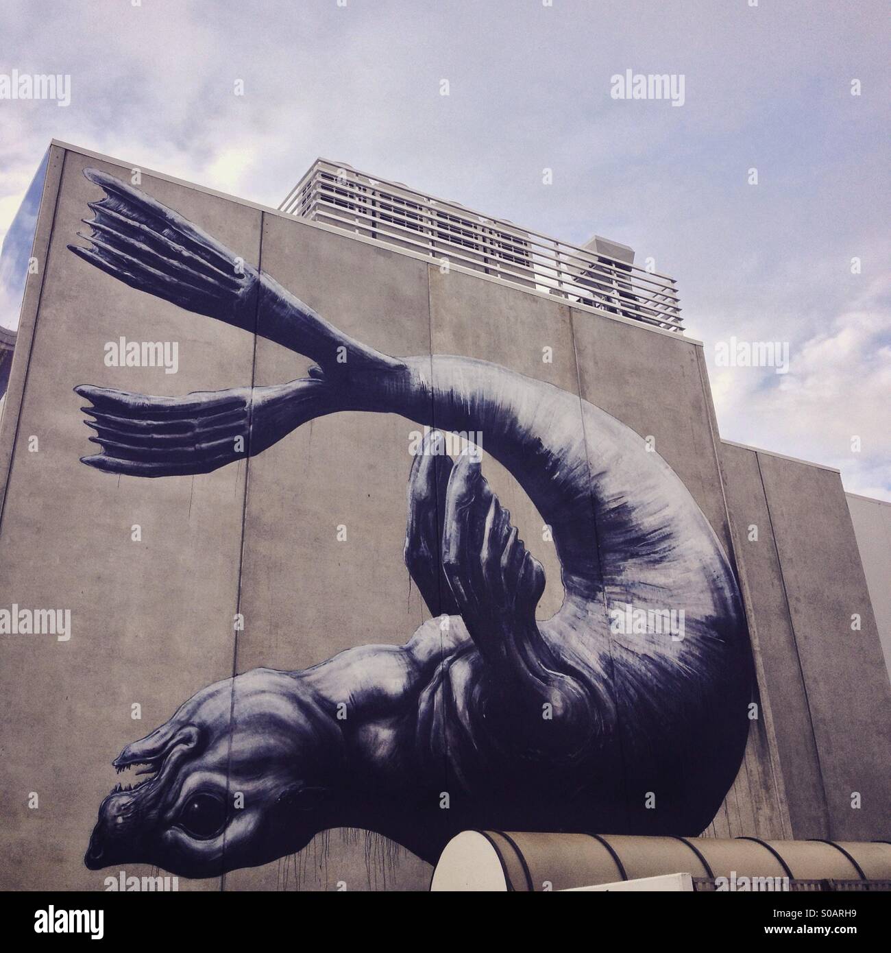 Lion mural art hi-res stock photography and images - Alamy