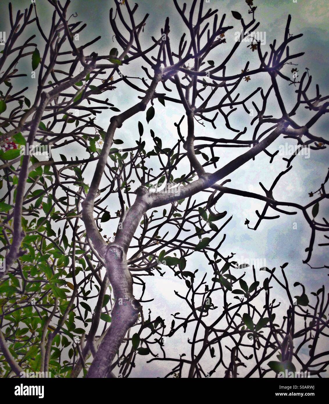 Interesting pattern hi-res stock photography and images - Alamy