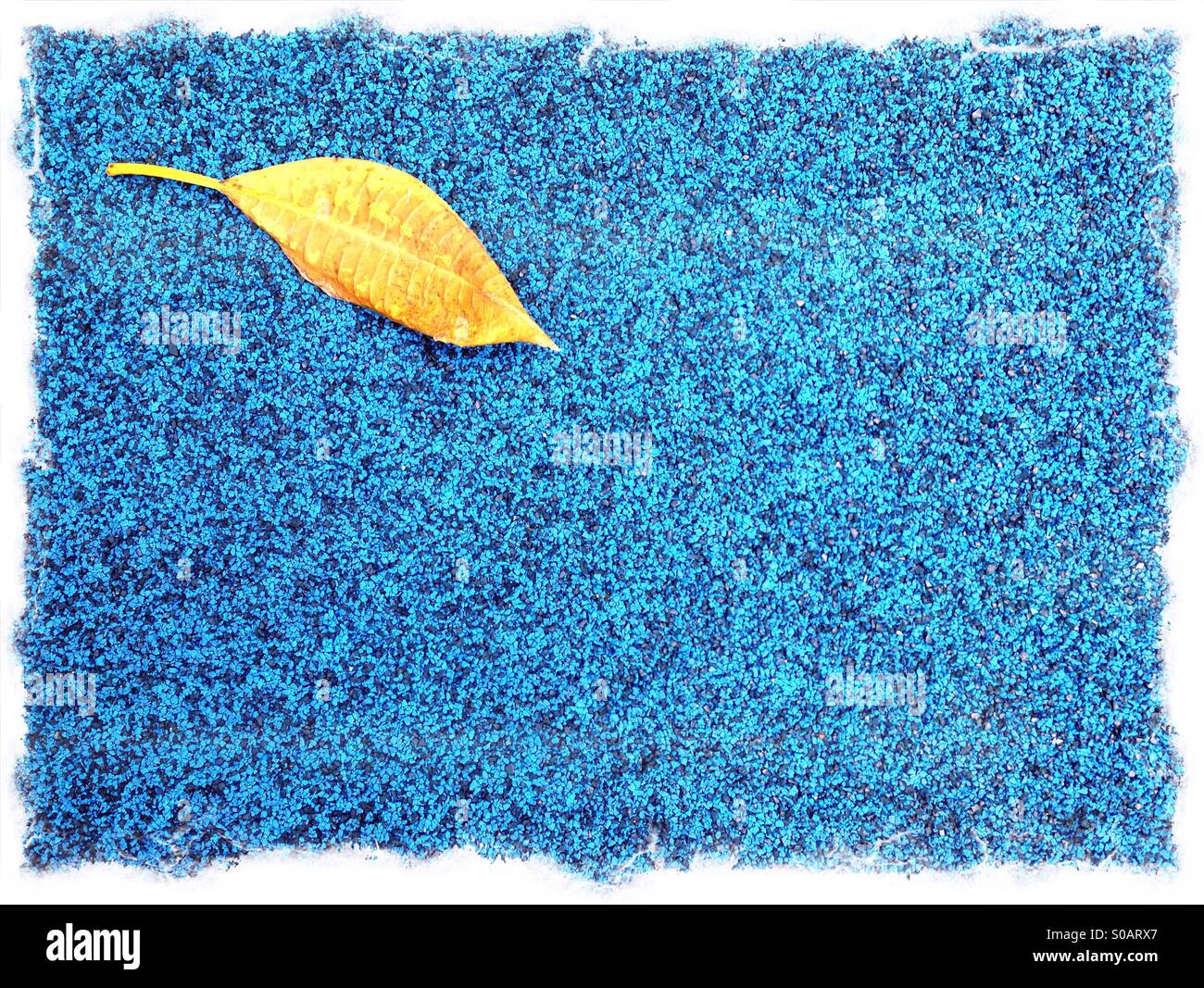 Fallen leaf hi-res stock photography and images - Alamy