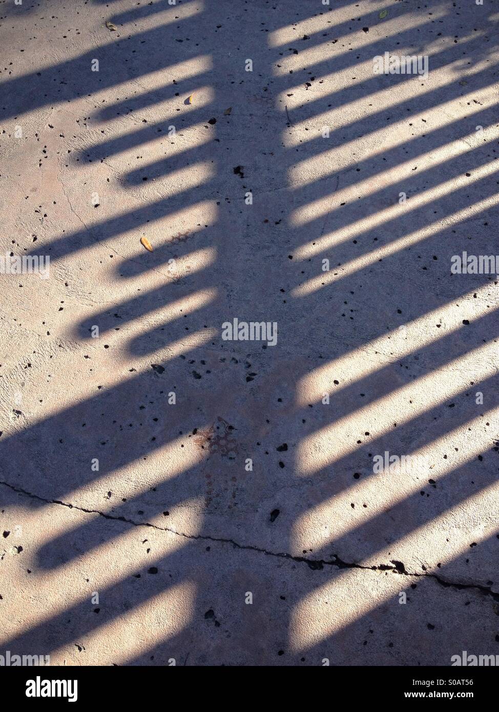 Shadow Of A Fence On The Ground Stock Photo - Alamy
