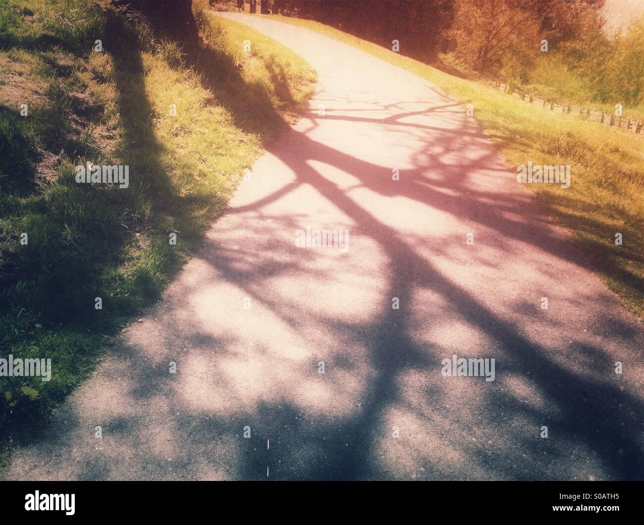 Happy shadow hi-res stock photography and images - Alamy