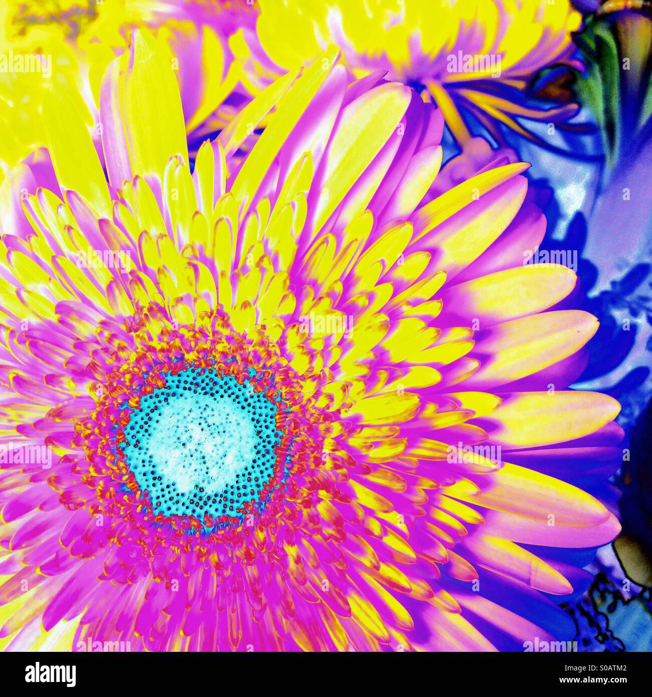 Psychedelic Flower High Resolution Stock Photography and Images - Alamy