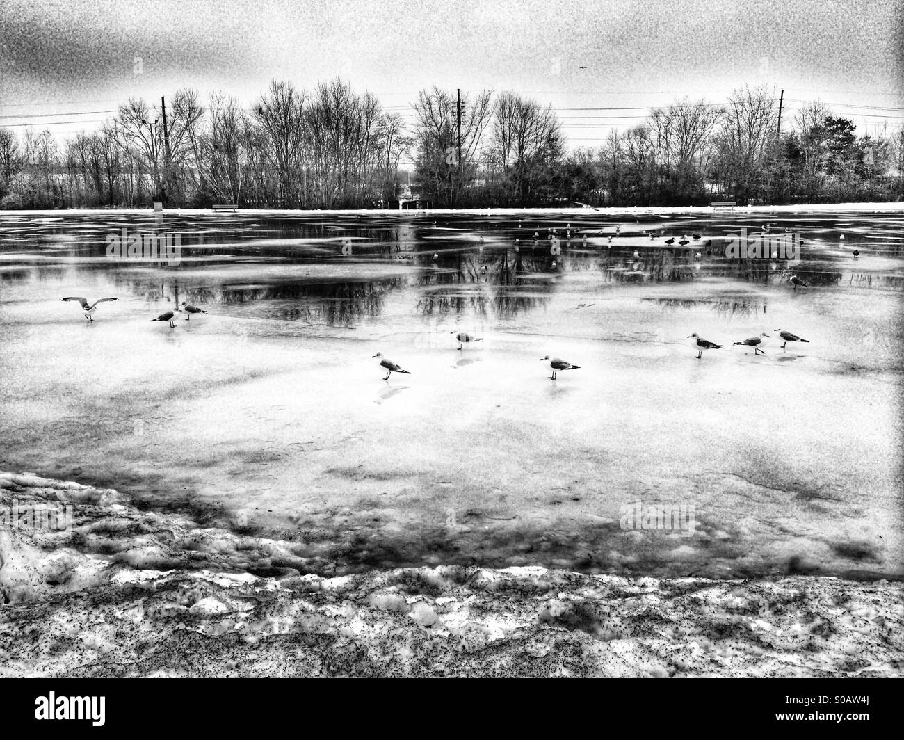 Winter scene - Frozen Lake Stock Photo - Alamy